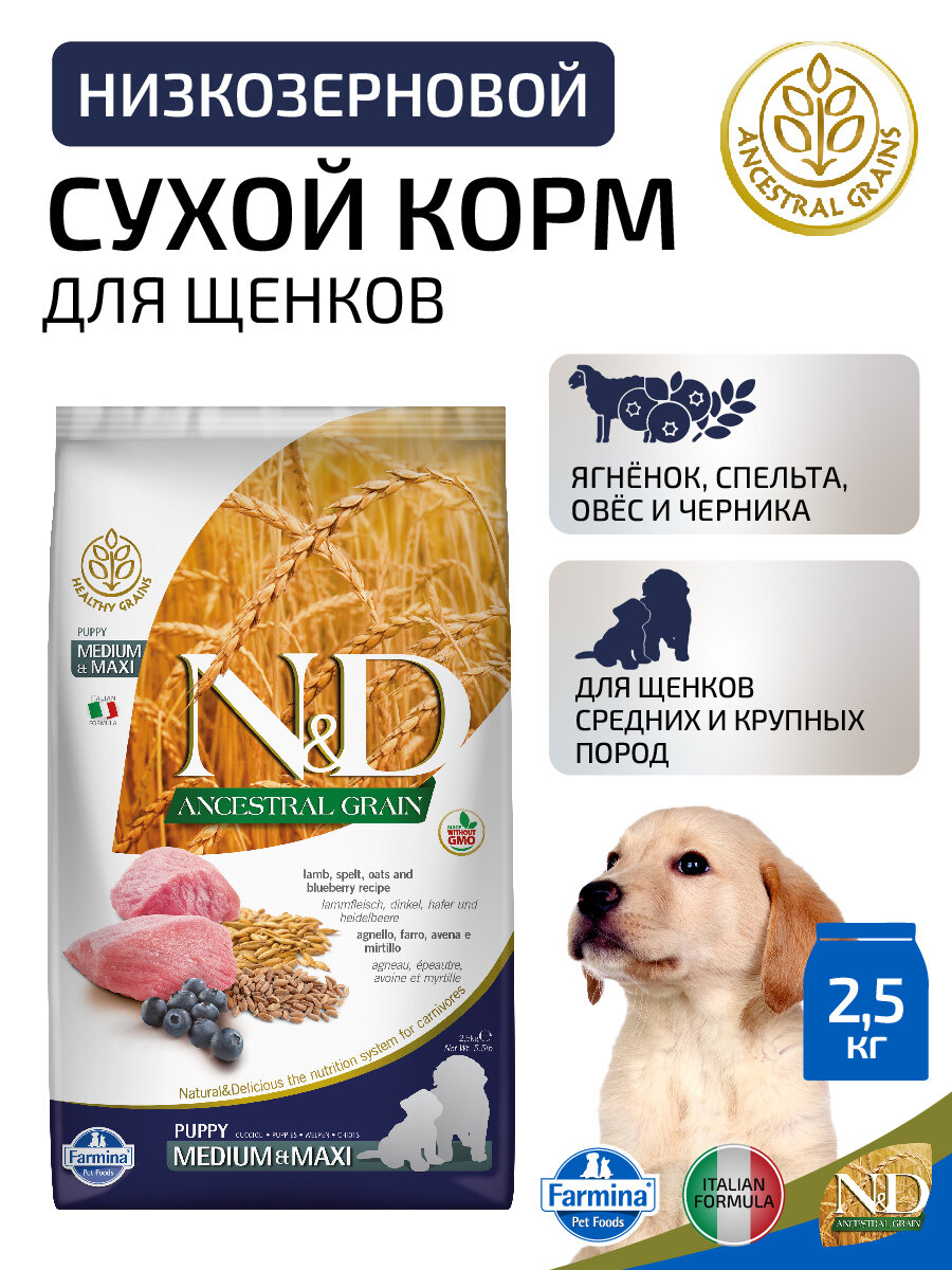 Сухой низкозерновой корм Farmina N&D Ancestral Grain Dog Puppy для щенков средних и крупных пород, беременных и кормящих собак, с ягненком и черникой 2,5 кг
