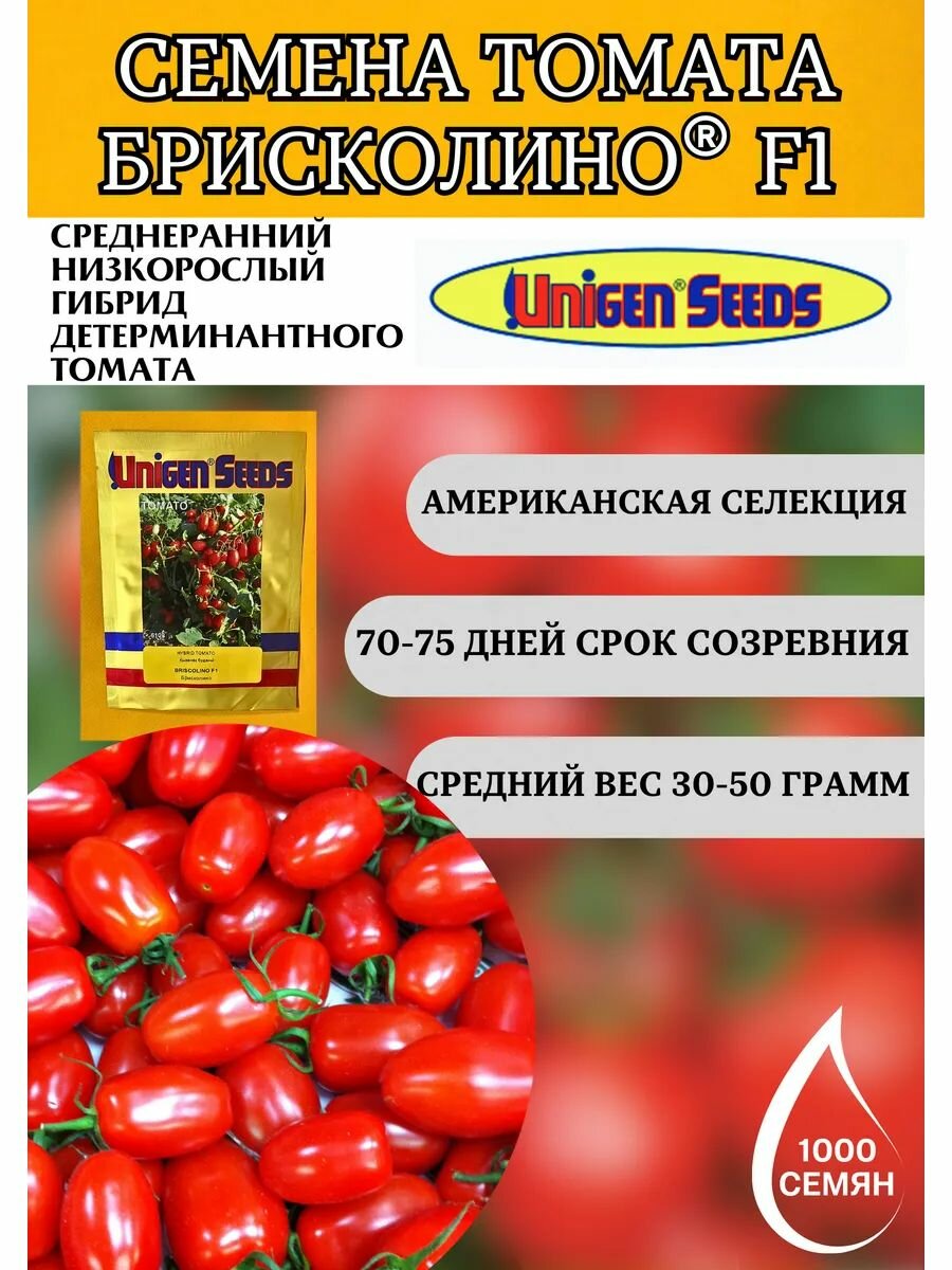 Семена томата Брисколино F1 1000 семян, профессиональные семена