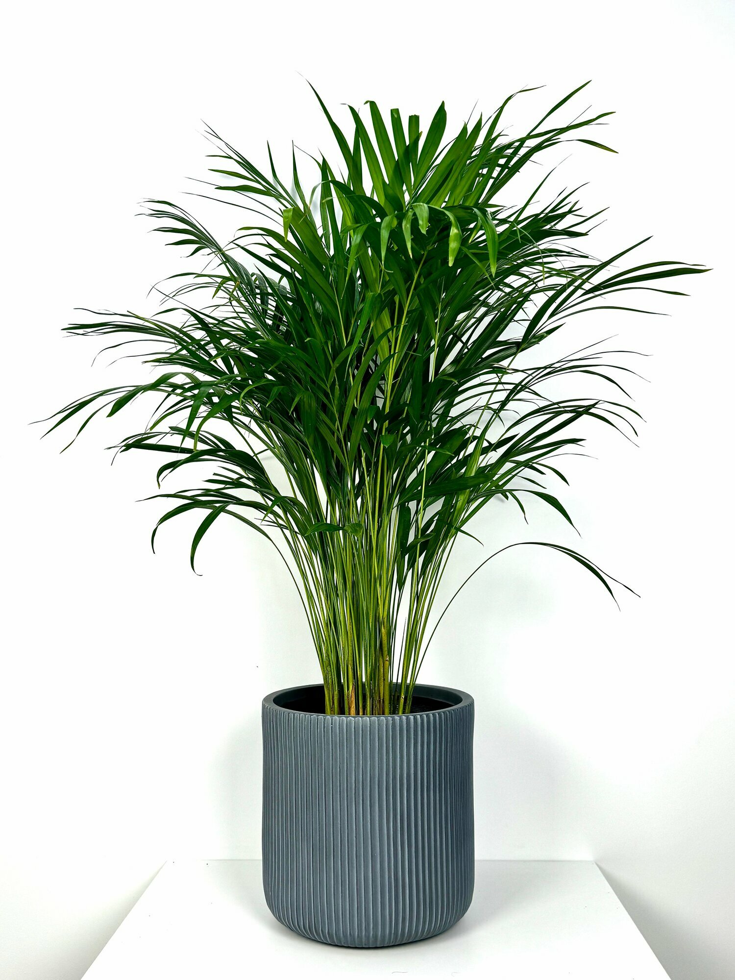 Кашпо напольное для цветов, TREEZ ERGO Jet, цилиндр, дымчато-серый бетон, керамический горшок, 37*37 см, 40 л