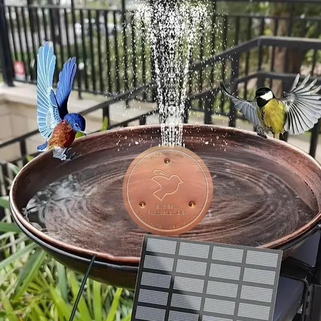 Медный диск для очистки птичьей ванны