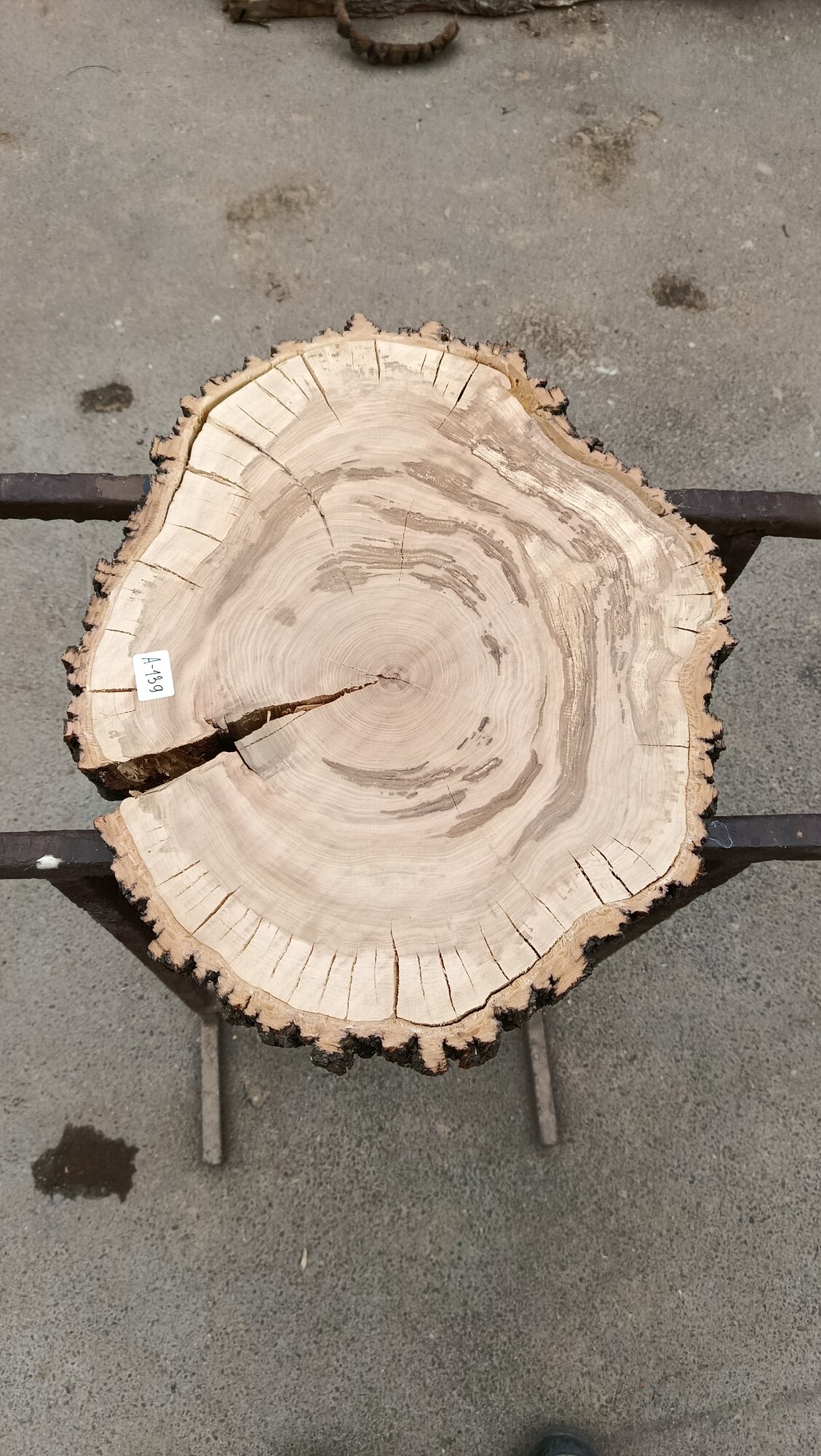 Спил из абрикоса 38х37х5см(А139), высушенный, фрезерованный спил дерева