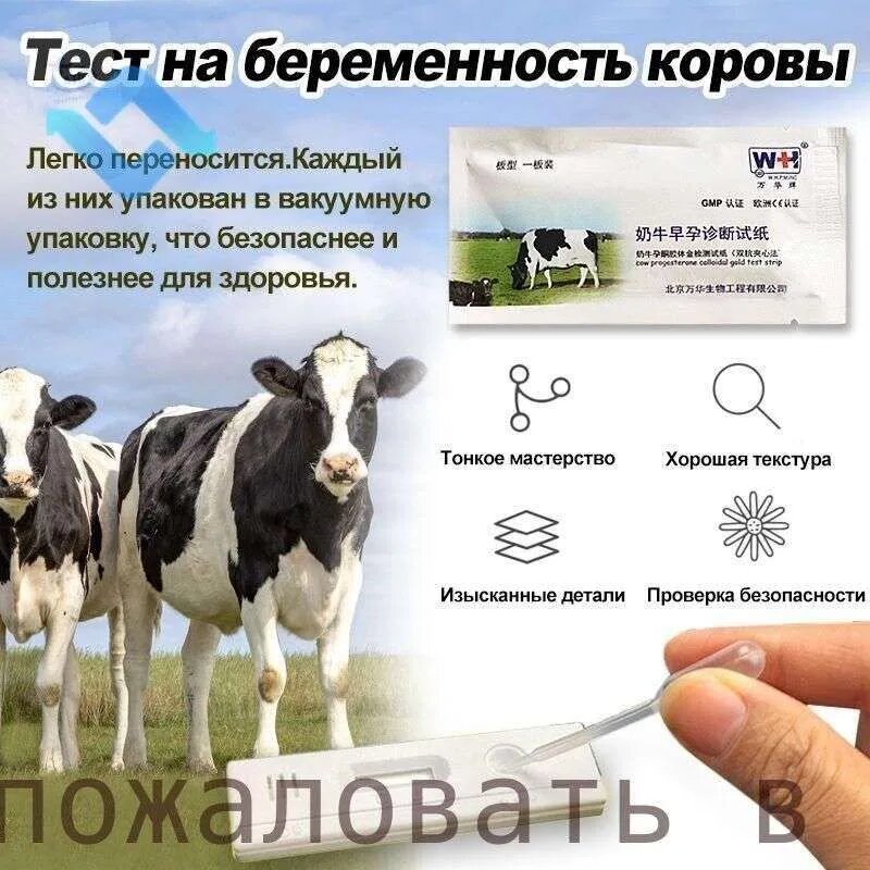 Тест на беременность у коров