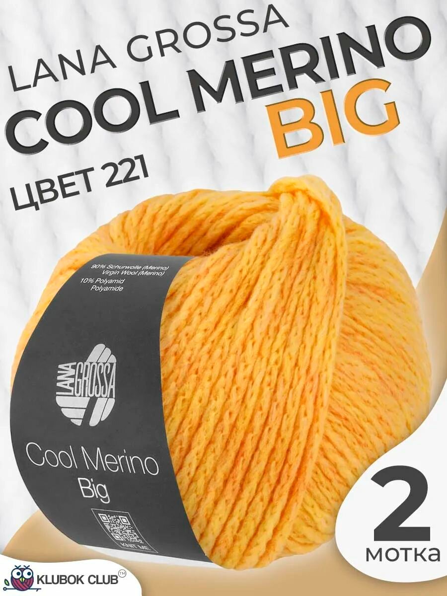 Пряжа для вязания Lana Grossa Cool Merino Big шнурок, цвет 221, 2 мотка