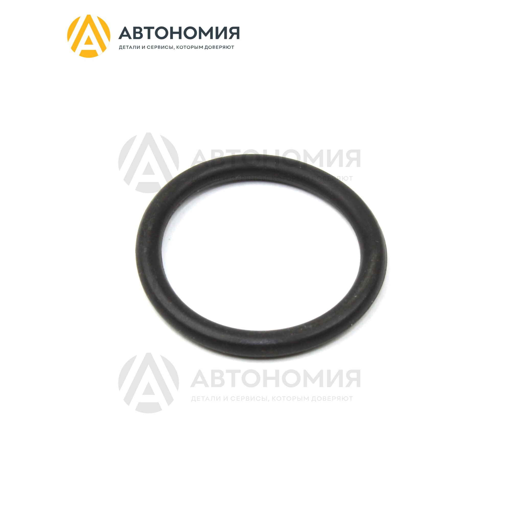 Уплотнительное кольцо VAG 06C 121 119 A