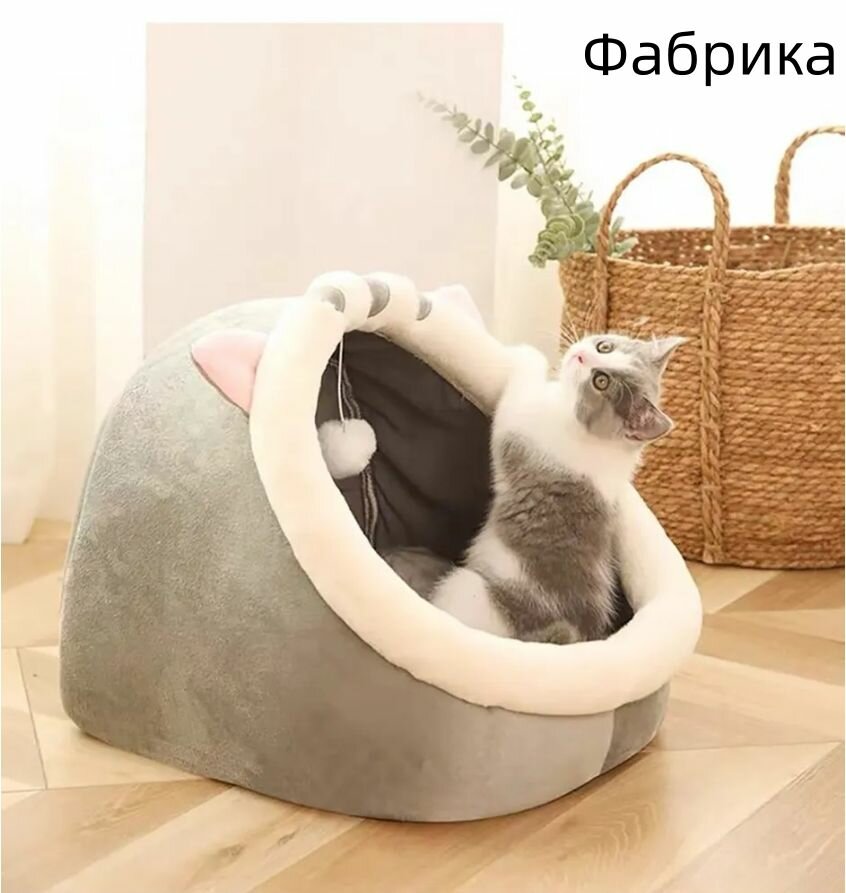 Корзина для домашних животных, комфортабельный котенок, котенок, кот.