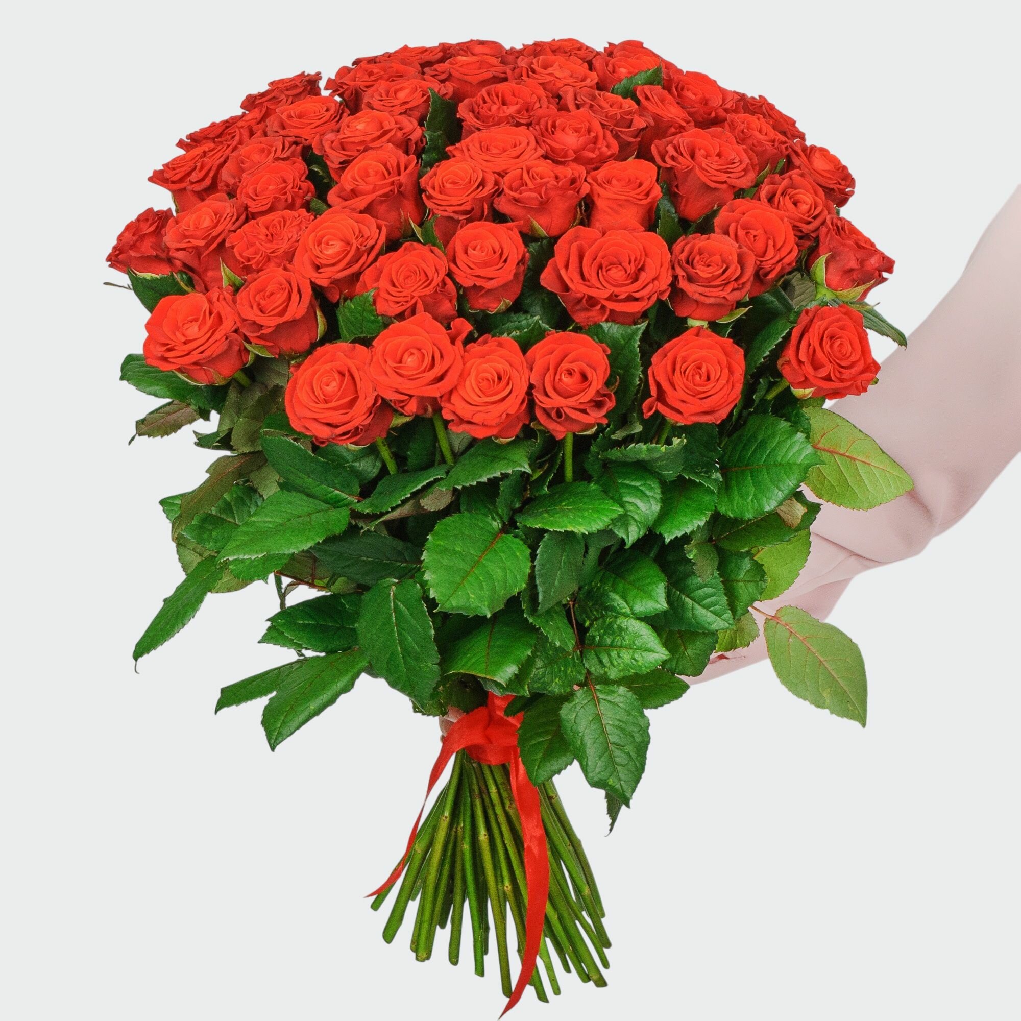 Букет от СоюзЦветТорг из 51 розы сорта Эль торо, высота 60см