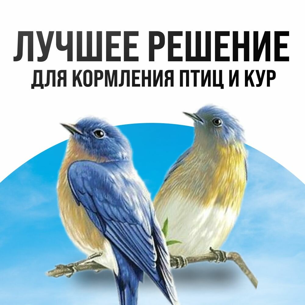 Лотковая кормушка — фото 1