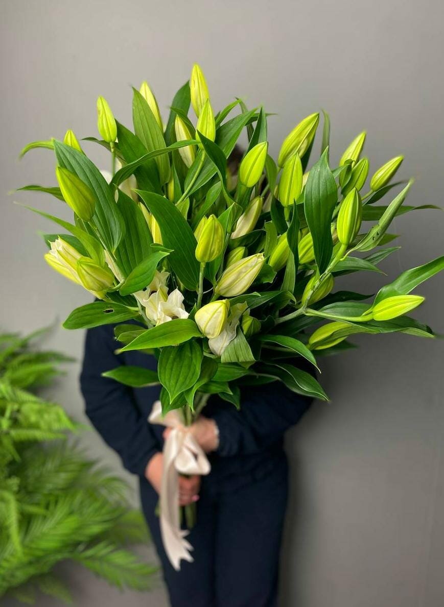Букет живых цветов, лилия, оформление под ленту, высота 60см, 15шт