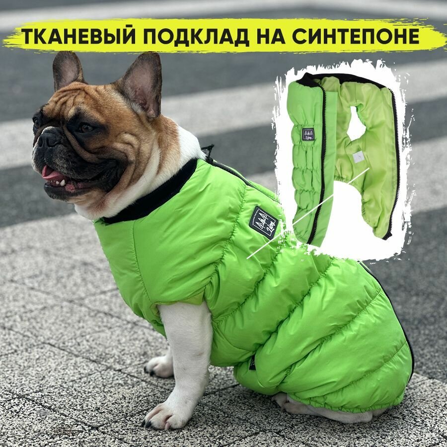 Одежда для животных — фото 1