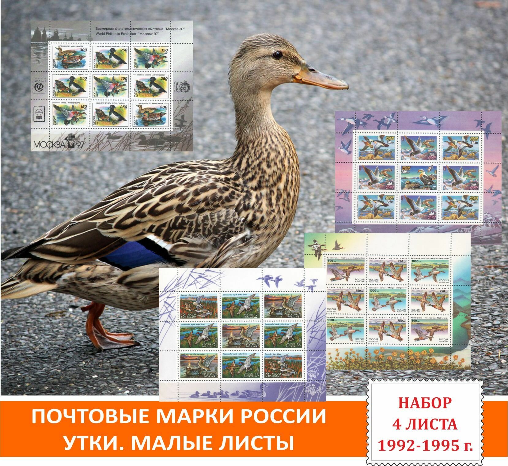 Почтовые марки России Фауна. Утки. Набор 4 малых листа 1992-1995 годов