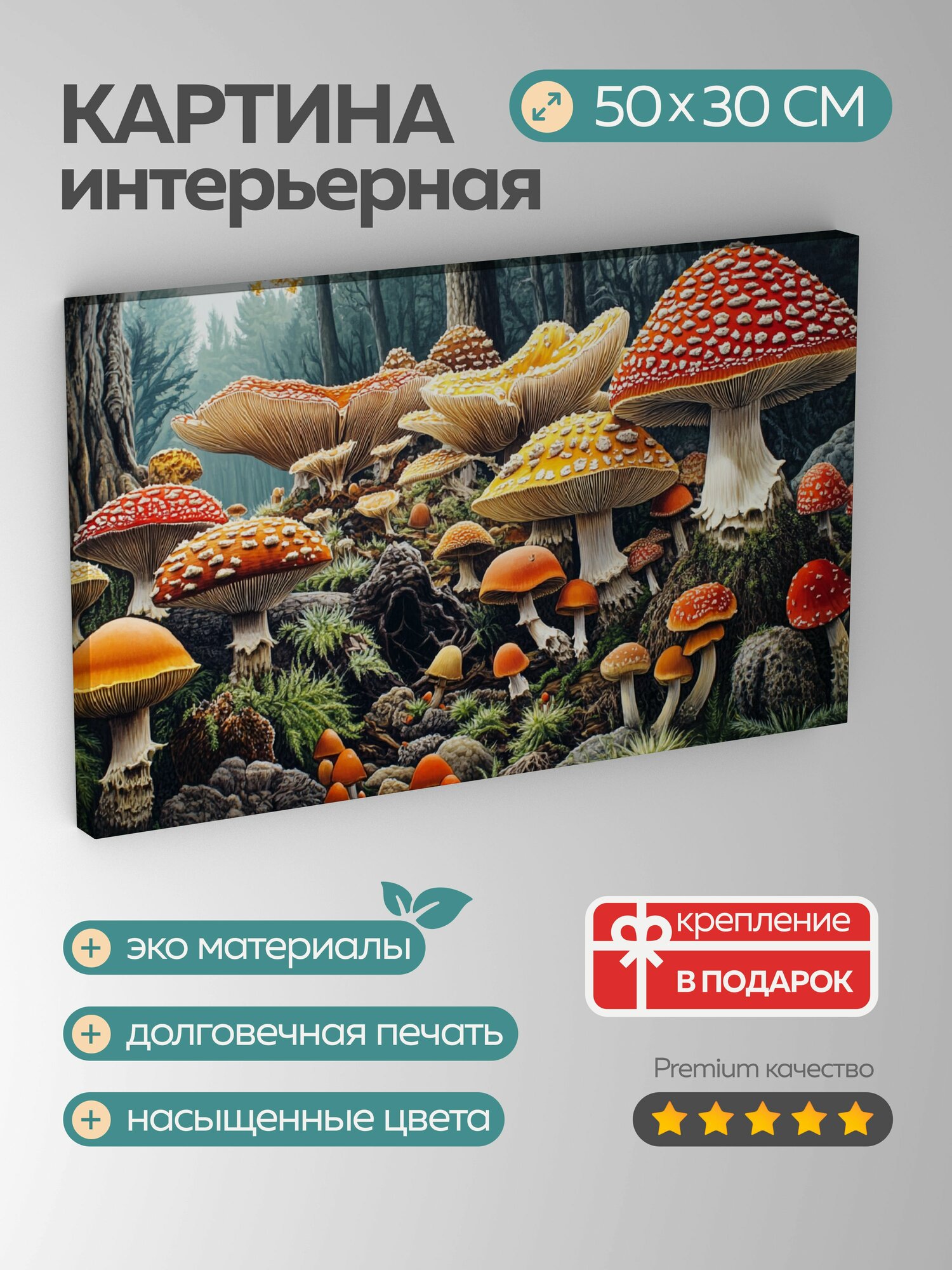 Картина на холсте интерьерная 50х30 см, Грибное поле, солнечный свет, разнообразие форм, цветов, размеров, яркие детали