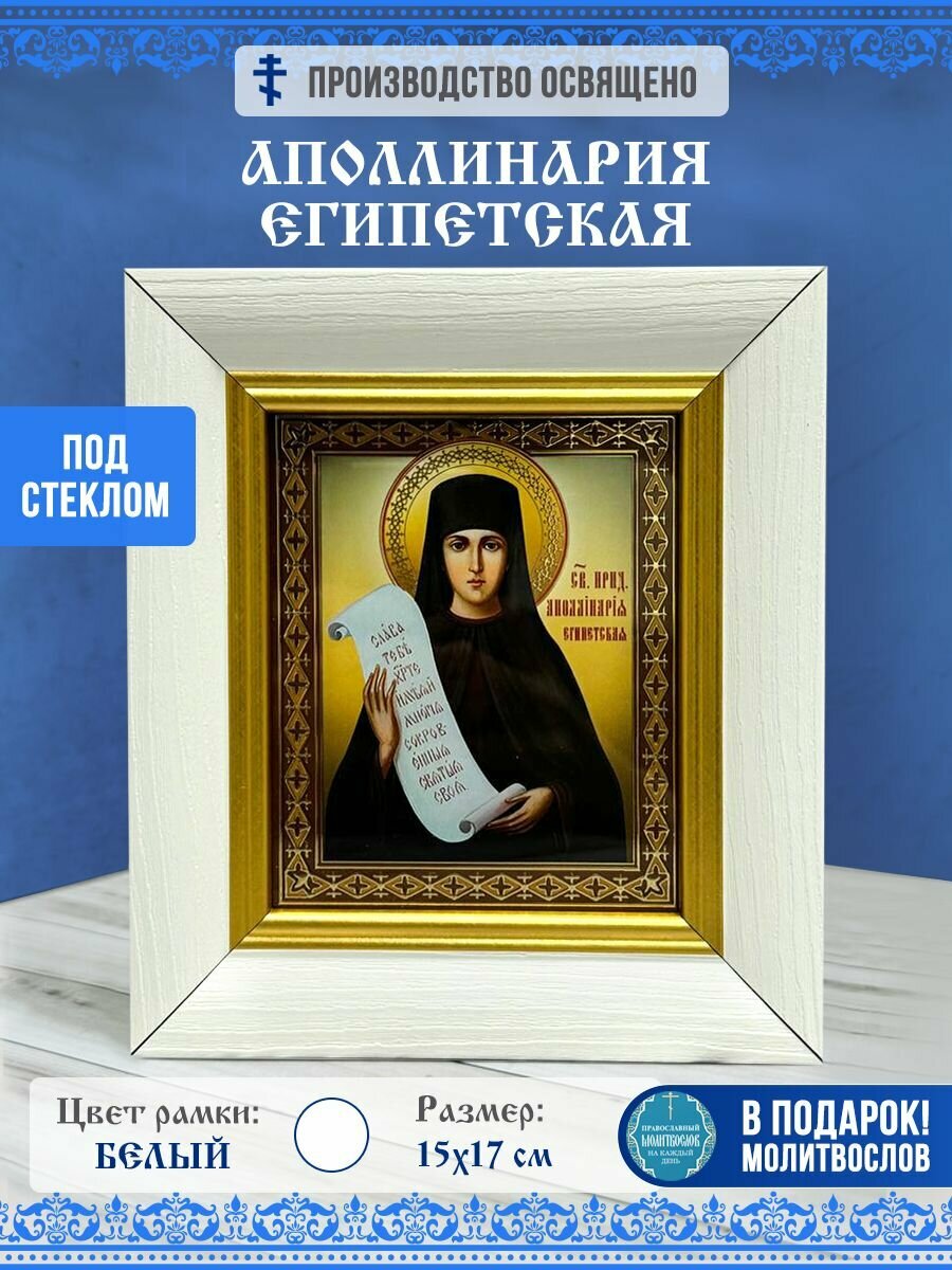 Икона Аполлинария Египетская в багетной рамке за стеклом 15х17