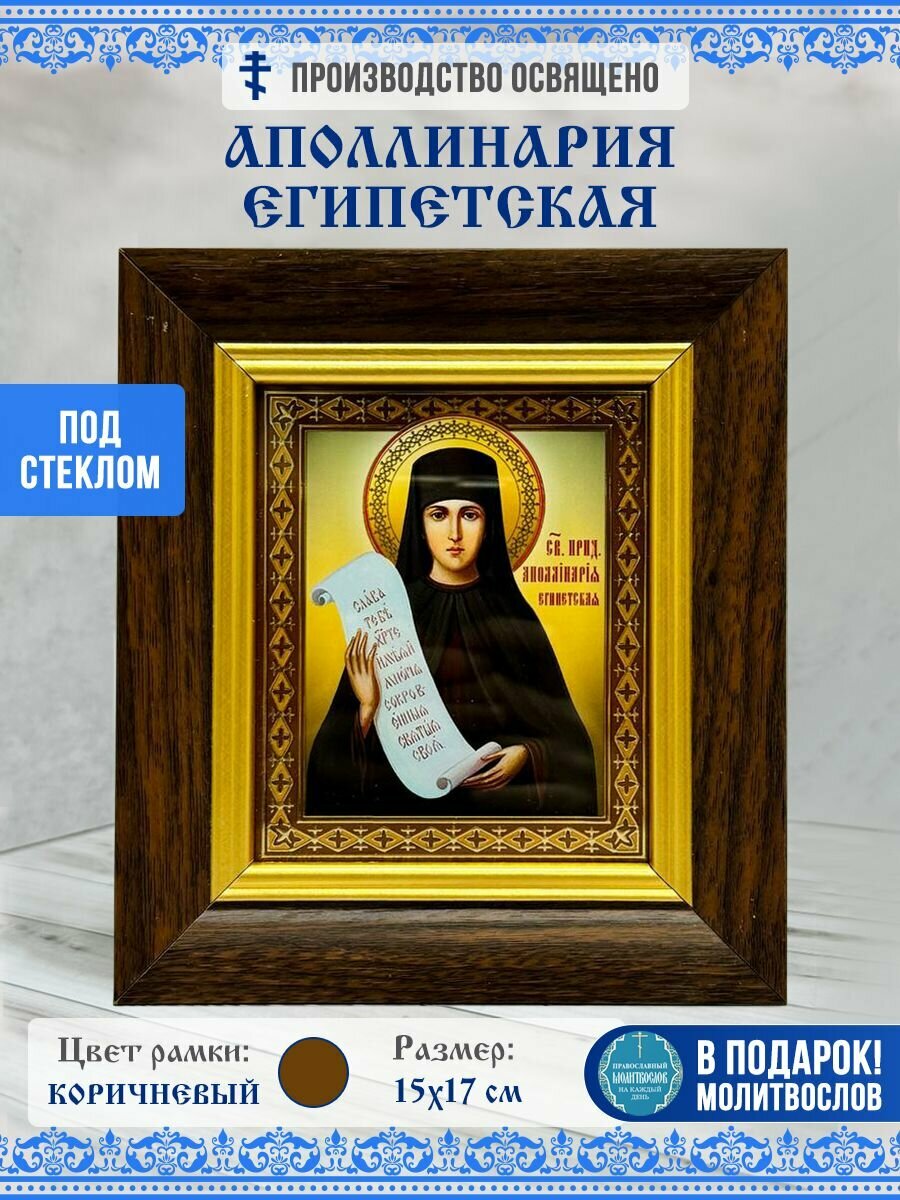 Икона Аполлинария Египетская в багетной рамке за стеклом 15х17