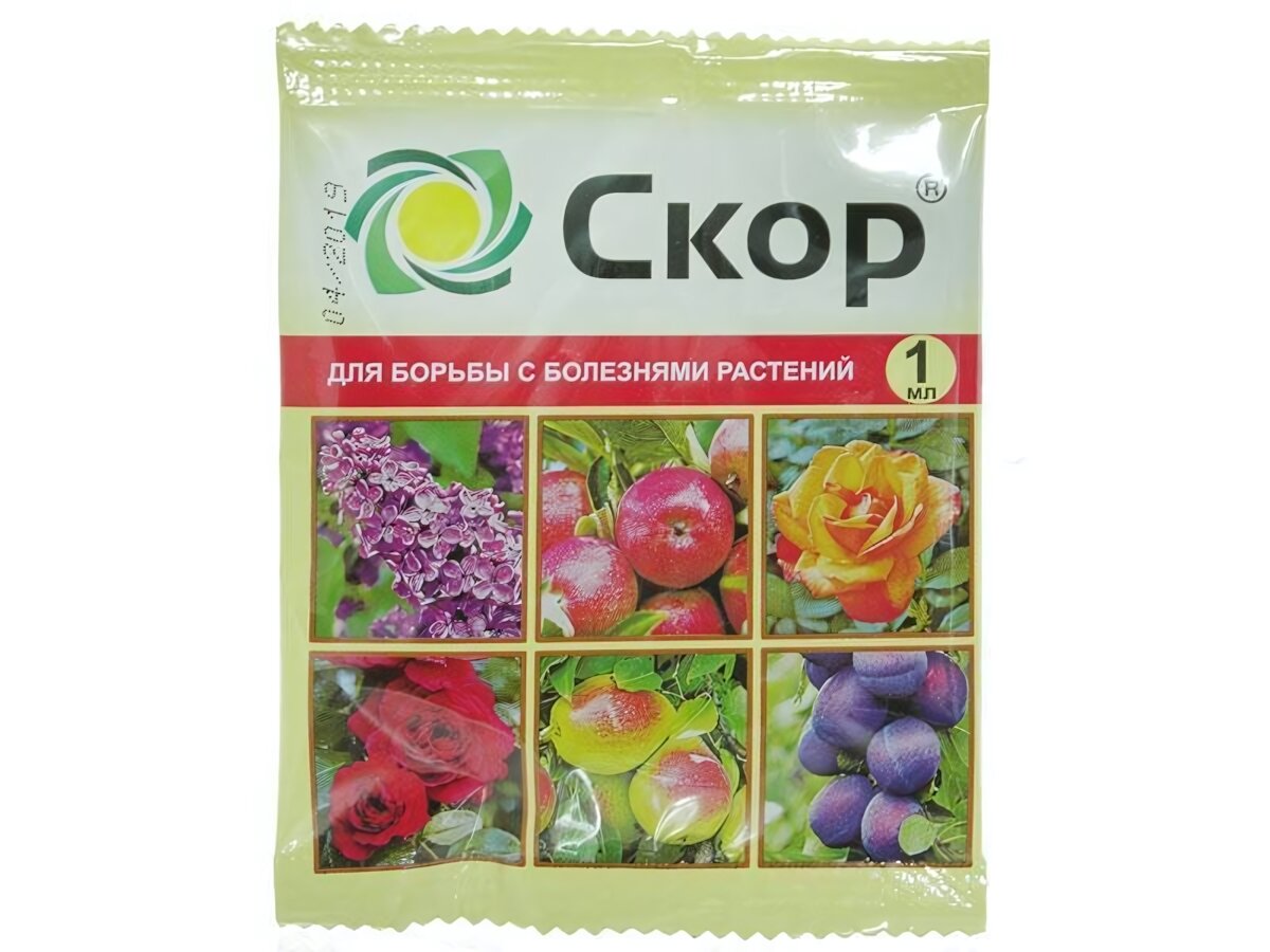 Скор 1мл от парши для плодовых и декоративных культур, эффективность и защита