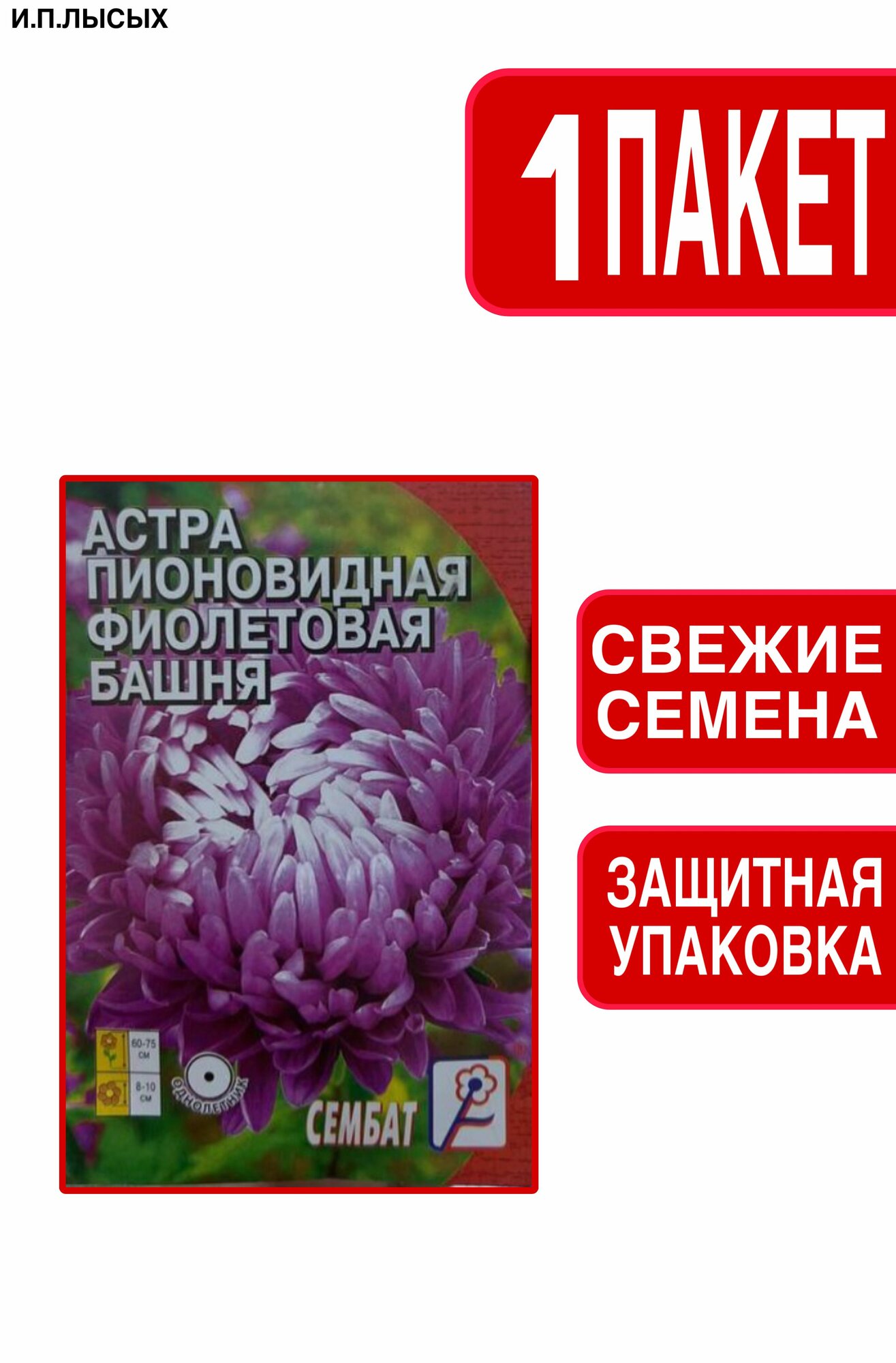Семена Астра Пионовидная "Фиолетовая Башня"