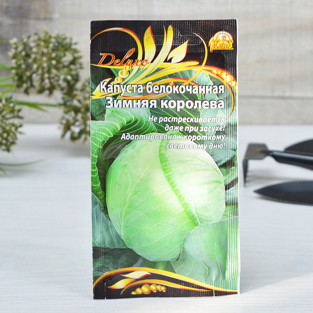 Семена капусты белокочанной «Зимняя королева» 0,3г, позднеспелая, Россия