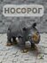 Носорог