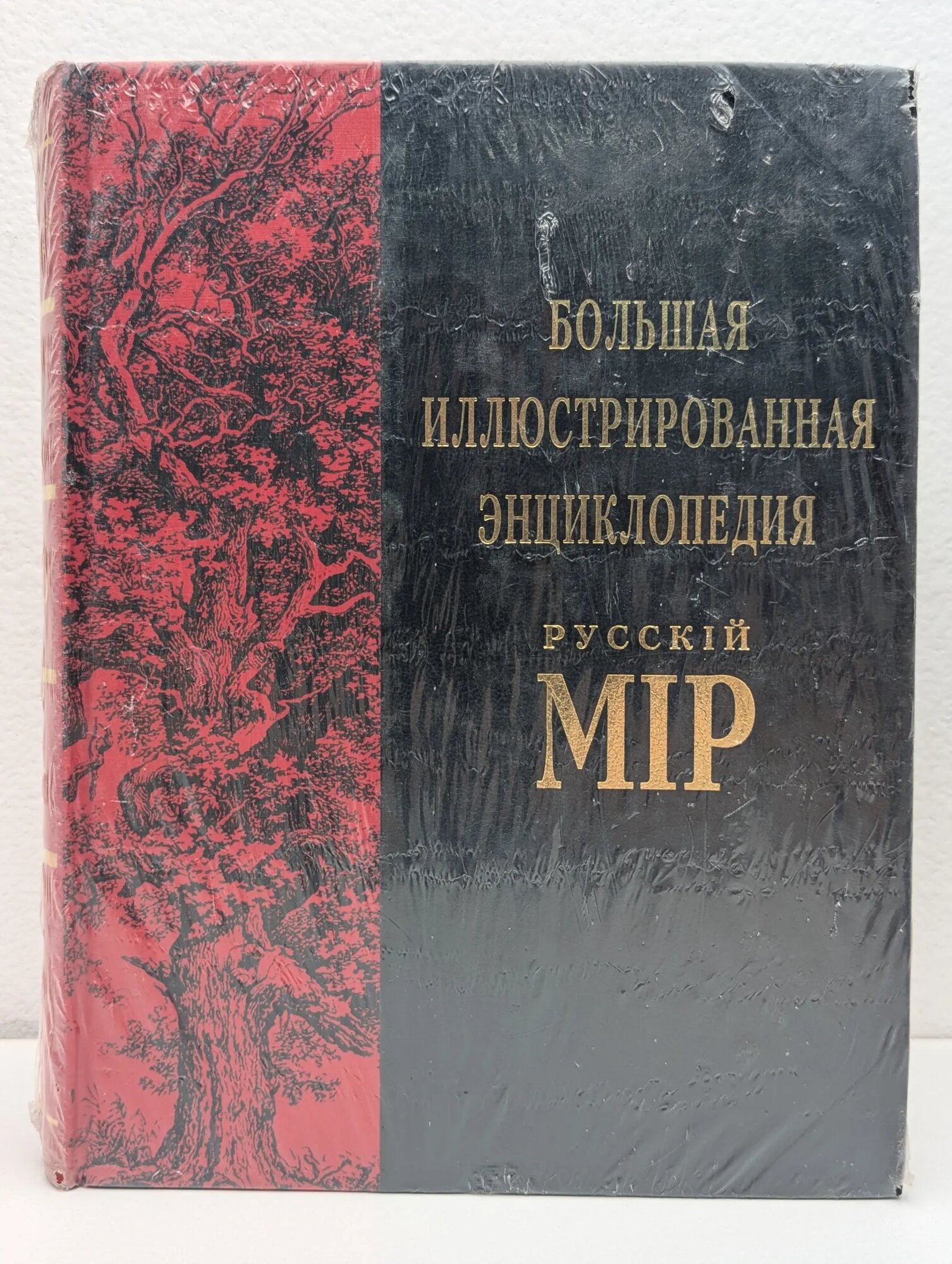 Большая иллюстрированная энциклопедия "Русский мир". Том 14 Сборник 2006