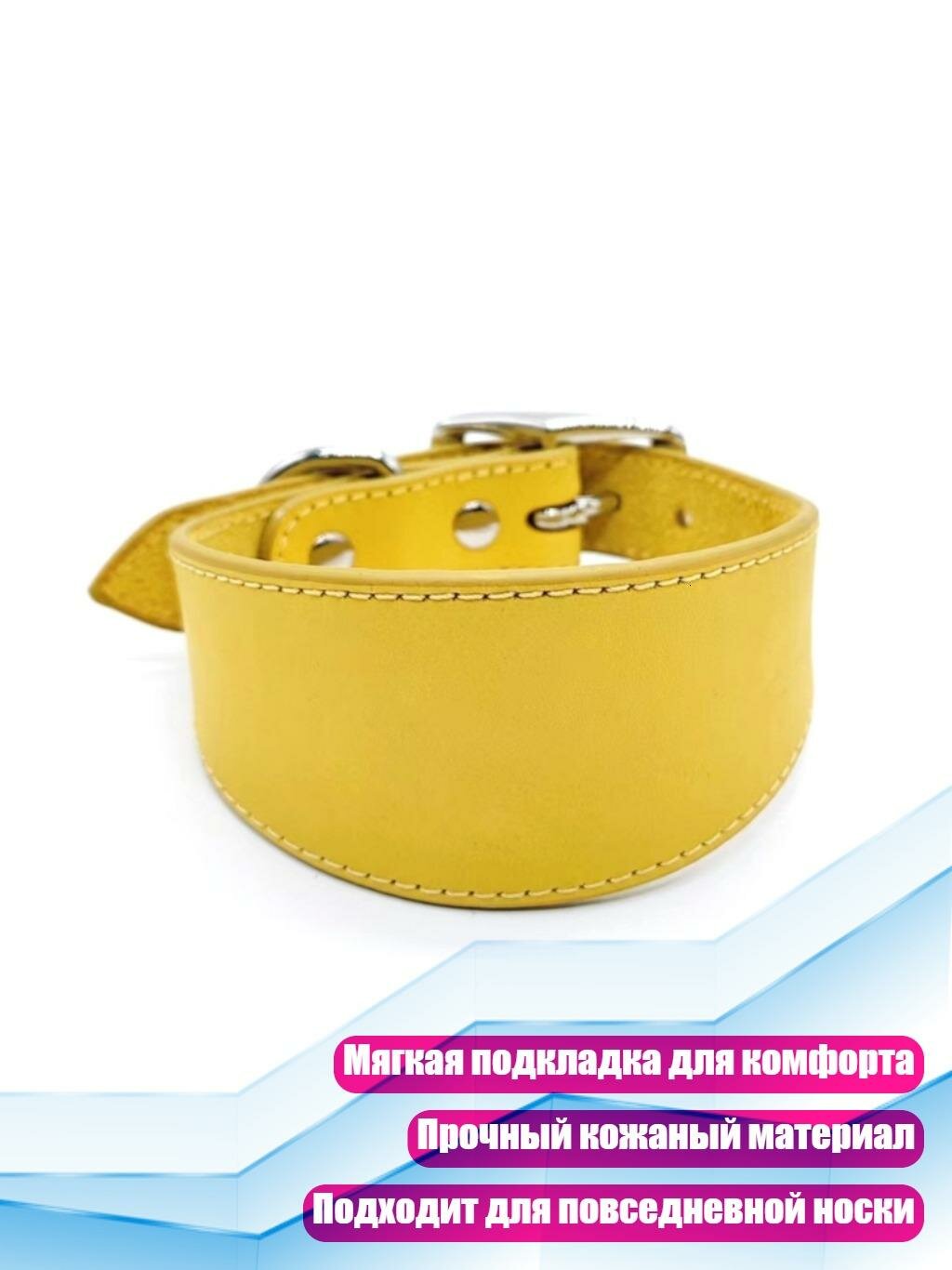 Кожаный ошейник для собак крупных пород, Желтый - L