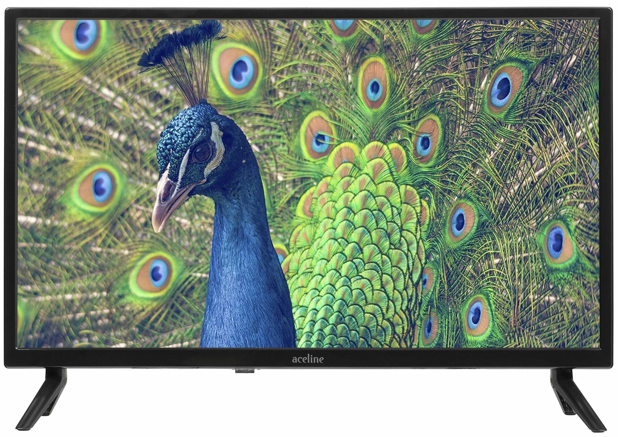 Телевизор Aceline 24HEN1, LED, разрешение 720p, диагональ 24", черный