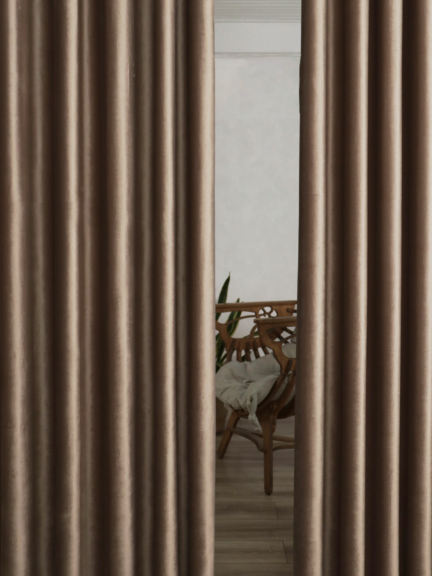 Шторы бархат антикоготь 150х305 (2 шт), Erika Home (Evrika Home)