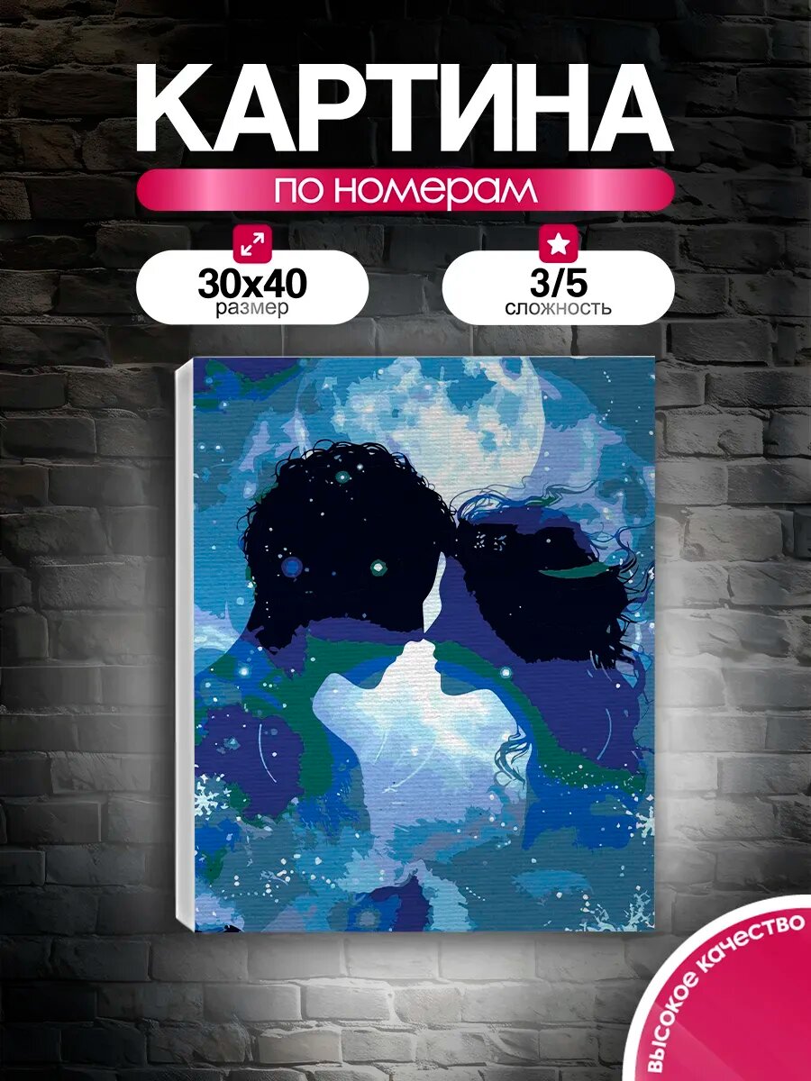 Картина по номерам 30x40 Пара