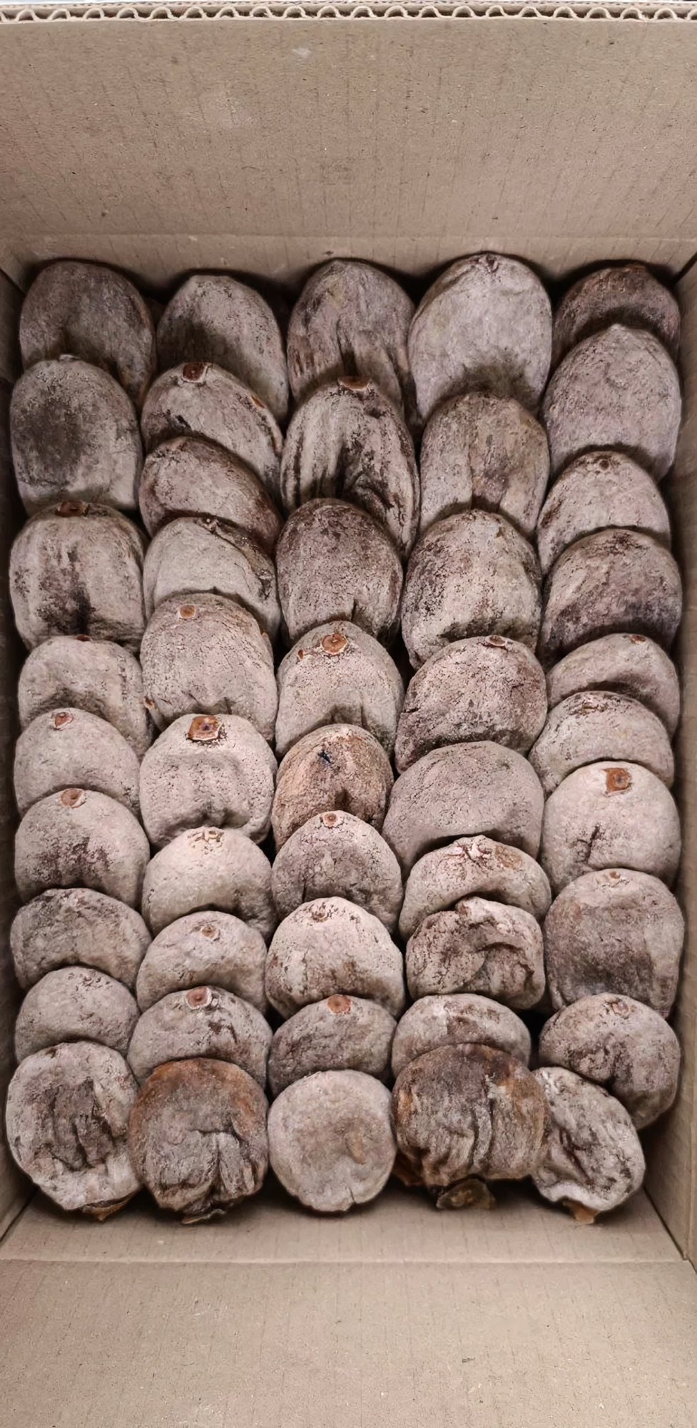 Хурма крупная сушеная без сахара, натуральная, вяленая, новый урожай «Vendor Hub», Армения, 5 кг