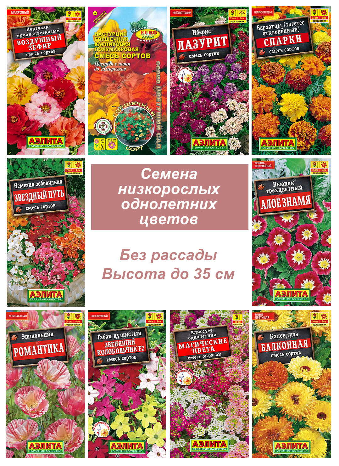 Семена низкорослых однолетних цветов