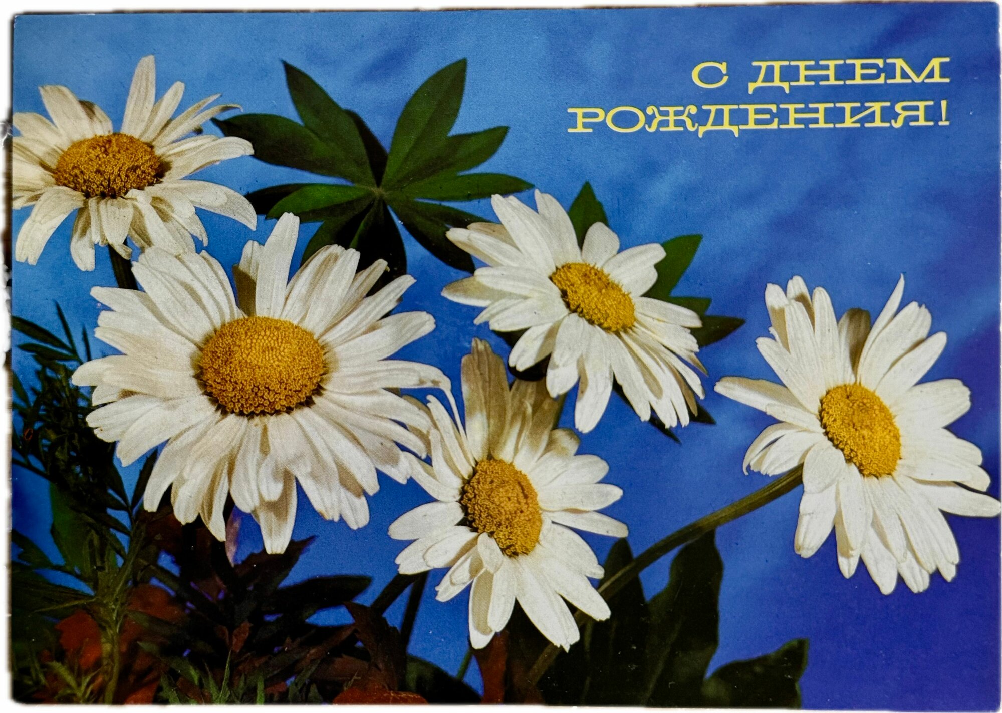 С днем рождения! (Фото Б. Круцко)