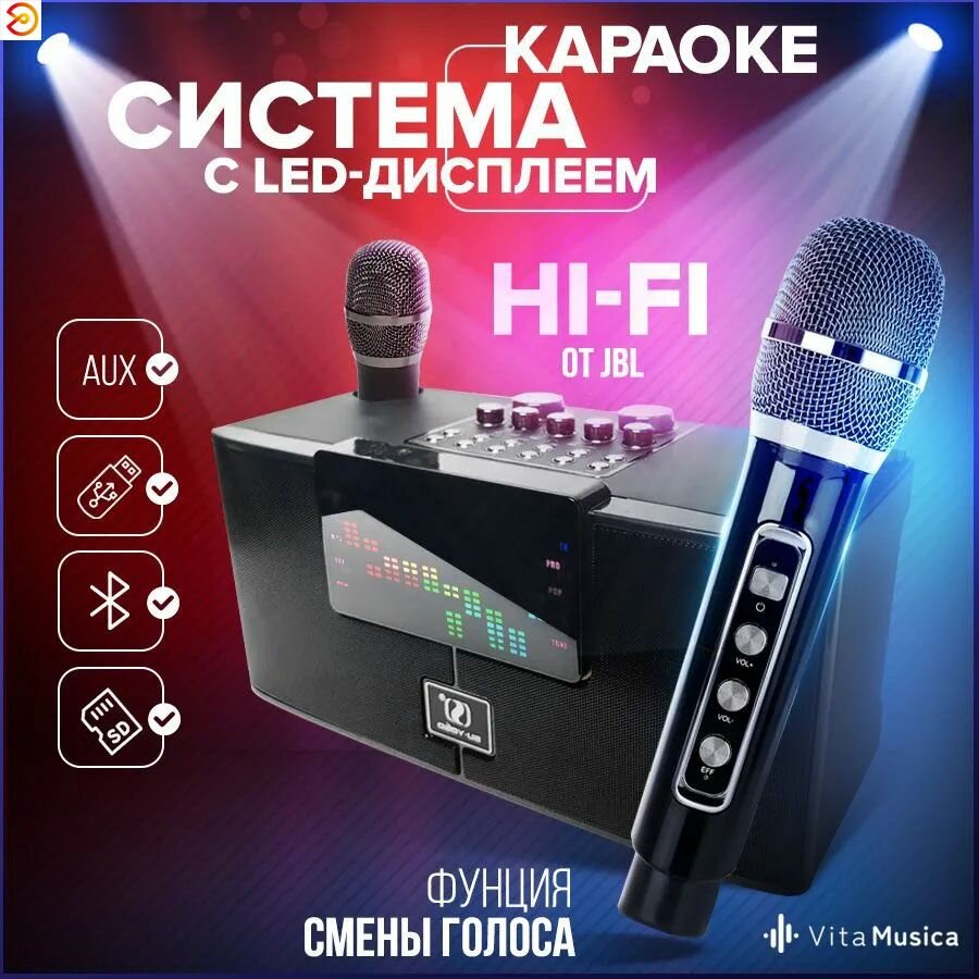 Караоке система Vita Musica с двумя беспроводными микрофонами