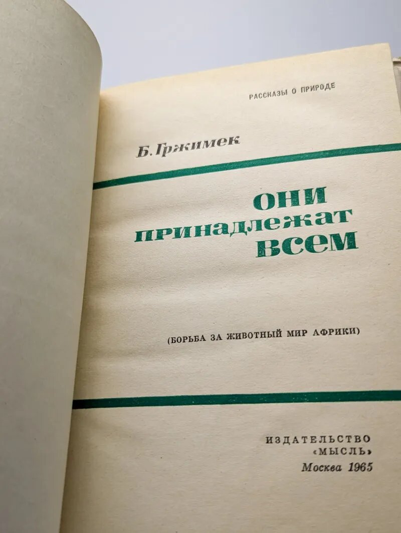 Они принадлежат всем — фото 1