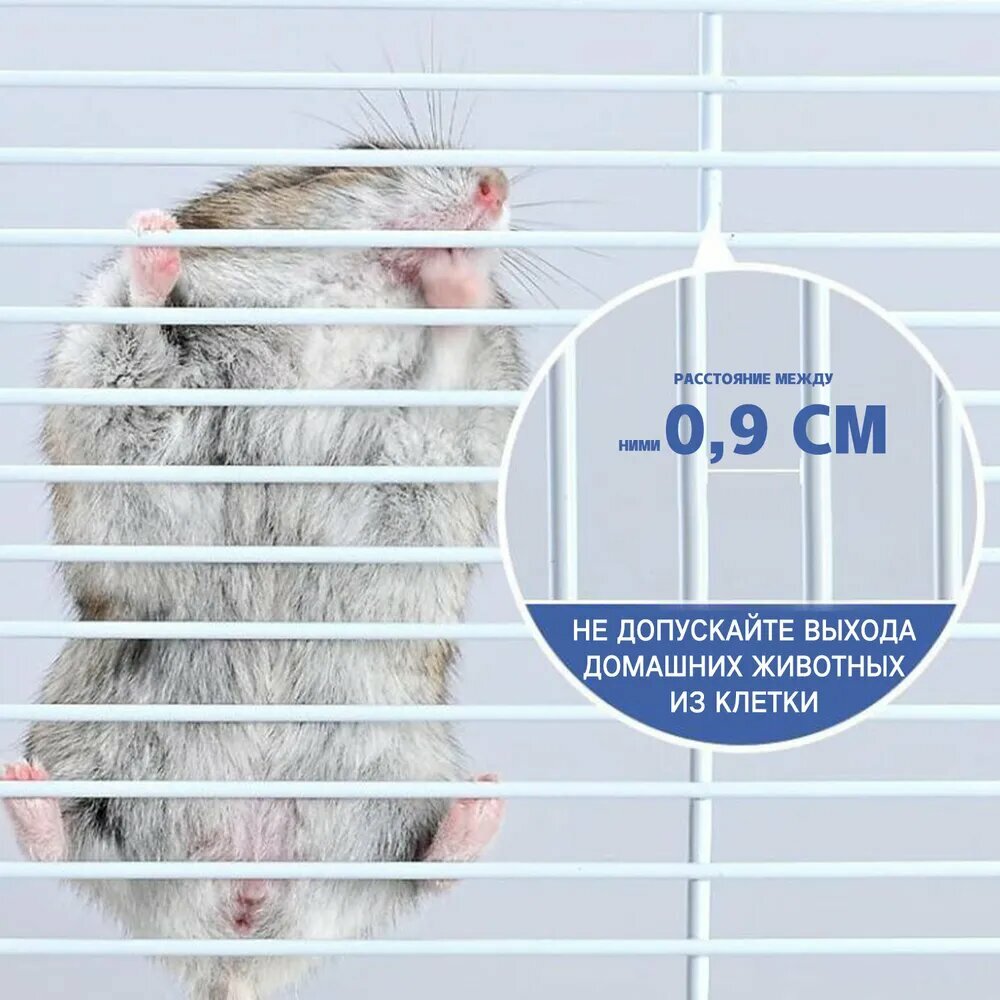 Большая двухслойная клетка для хомяка, для нескольких хомяков