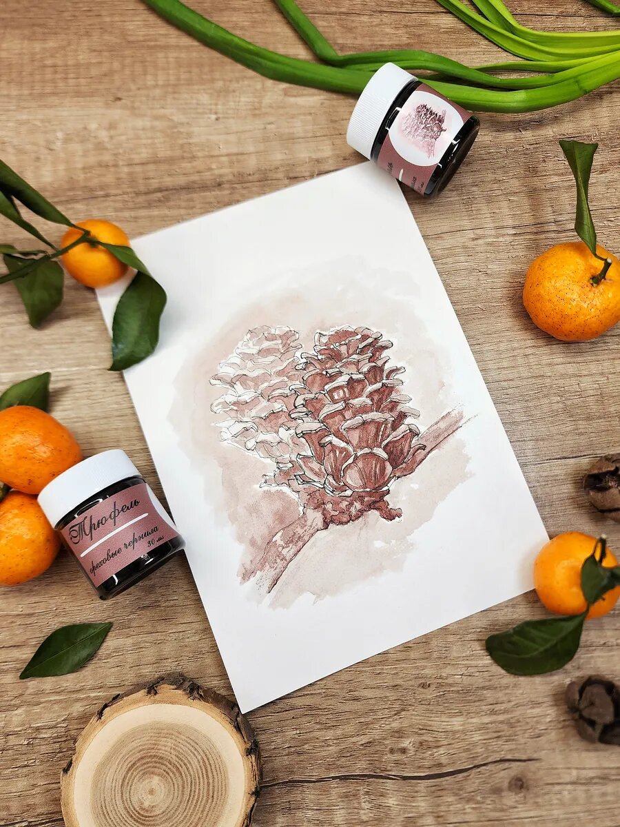 Ореховые чернила Красный Кардинал для каллиграфии и рисования Коричневый трюфель 30 мл.