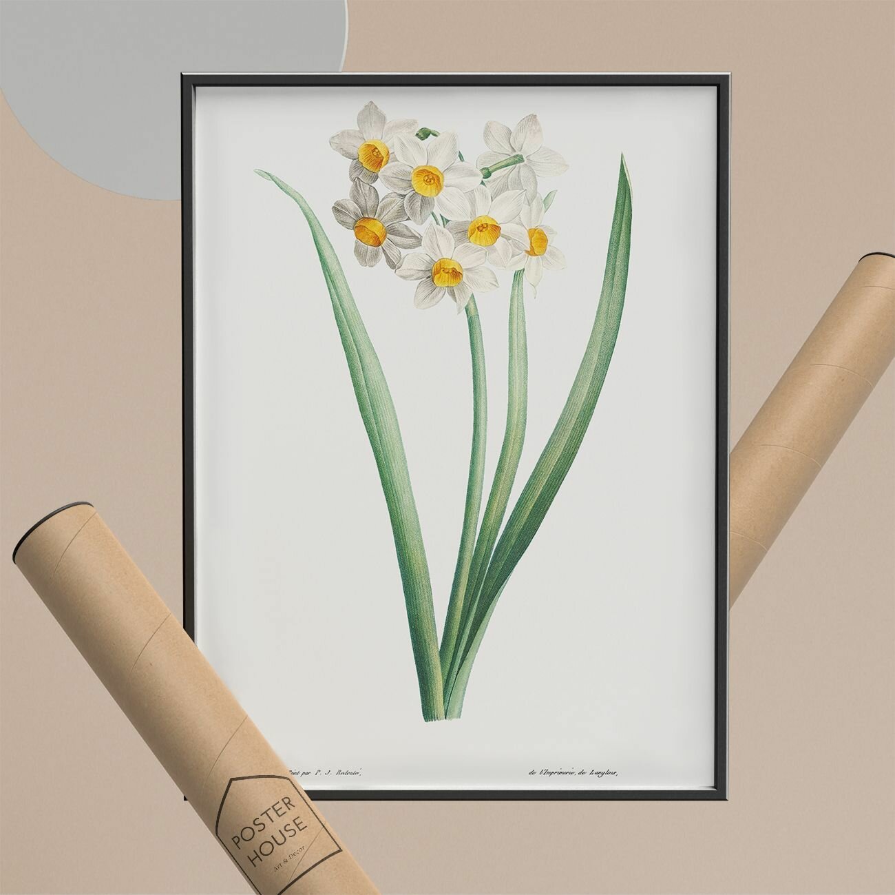 Постер Цветы Винтаж 60х80 см без рамы/ Эстетика/ Минималистичный эстетичный плакат для интерьера