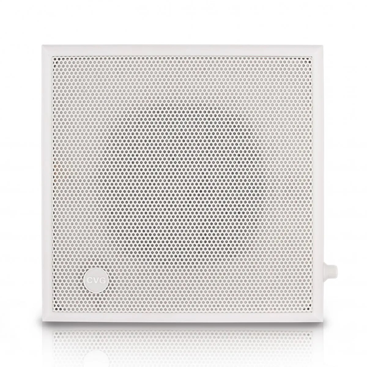 Настенная акустика CVGaudio WPS6T
