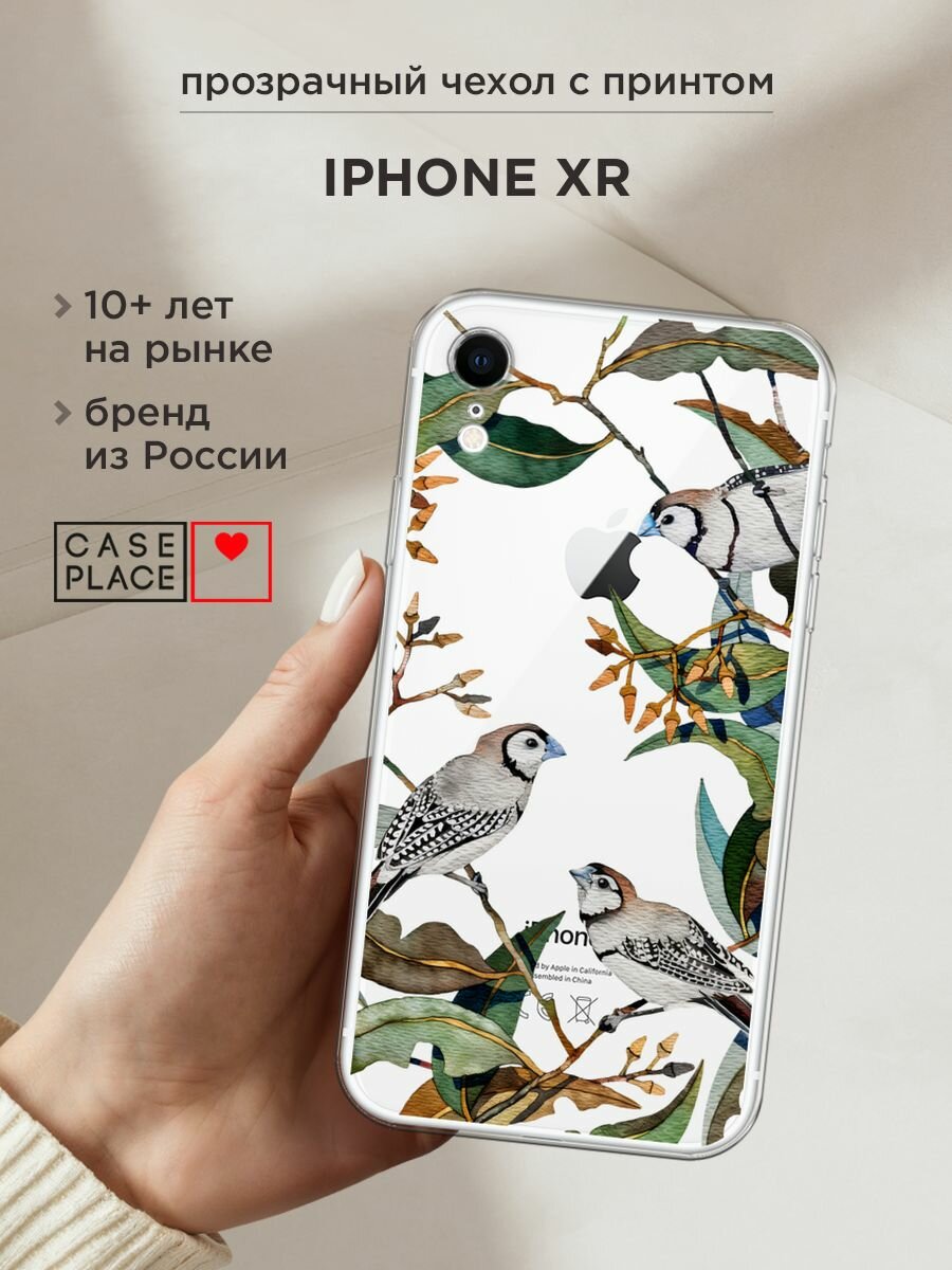 Чехол на Apple iPhone XR / Айфон XR с принтом "Птицы в листве", прозрачный