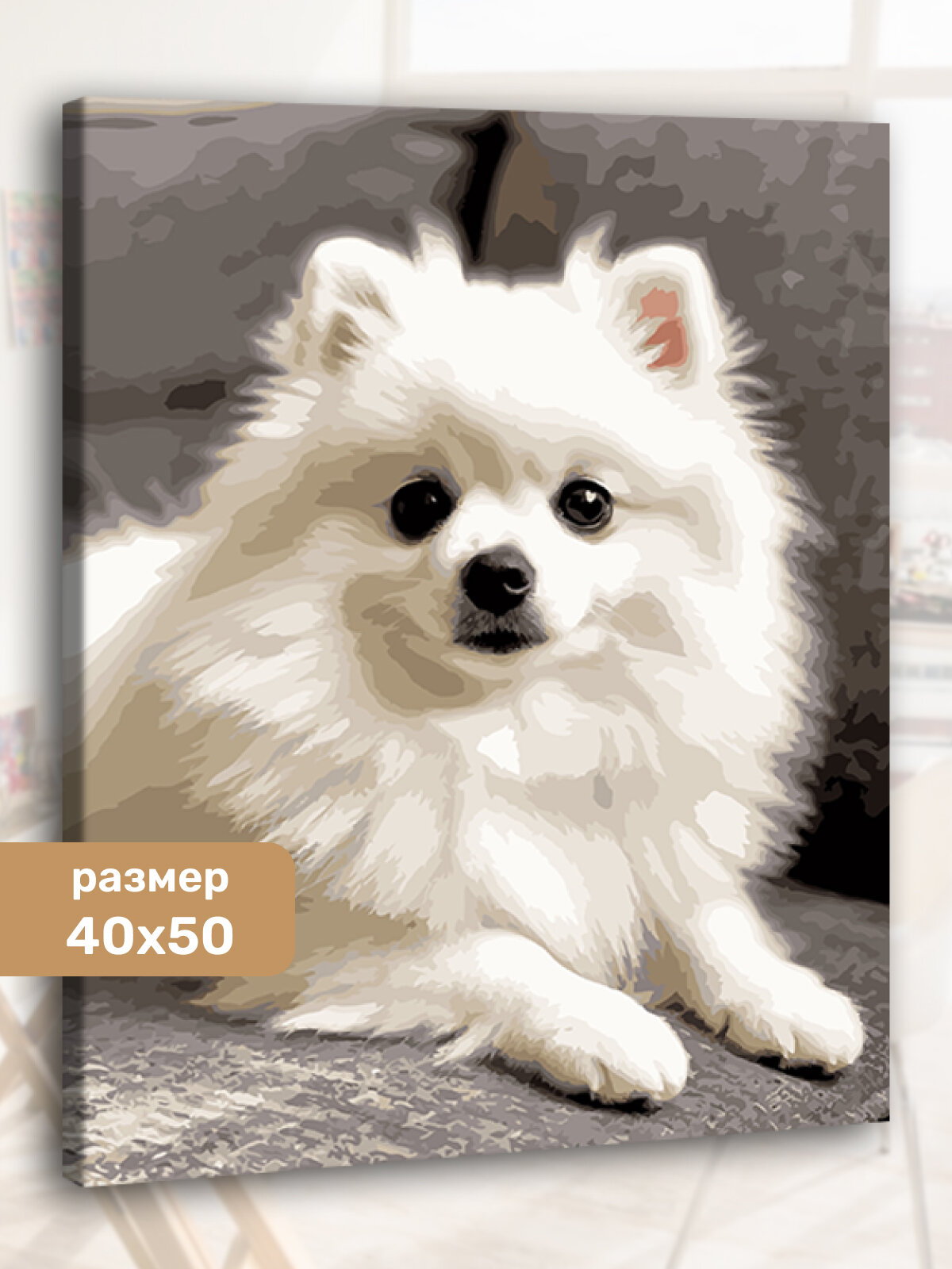 Картина по номерам на холсте и подрамнике "Кот Мейн-кун"40х50