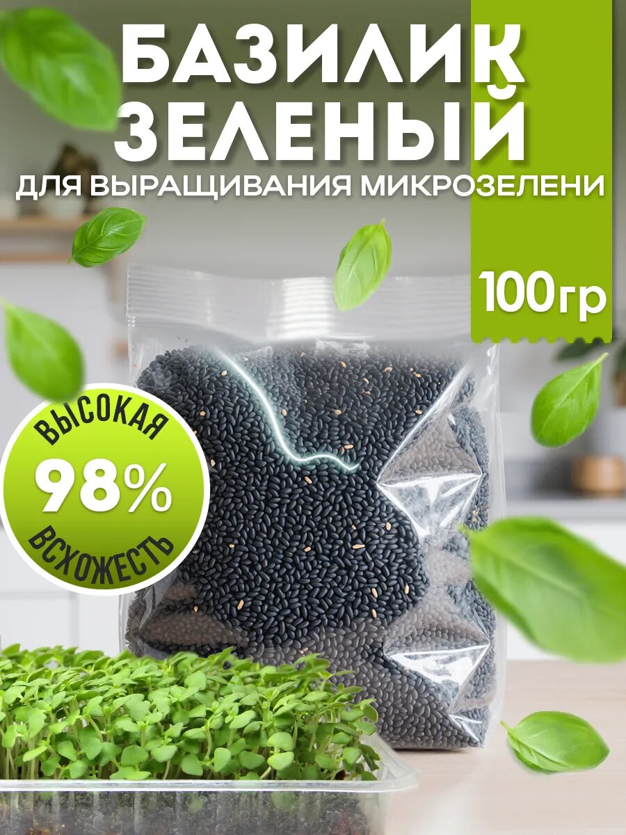 Базилик семена для проращивания микрозелени 100 г