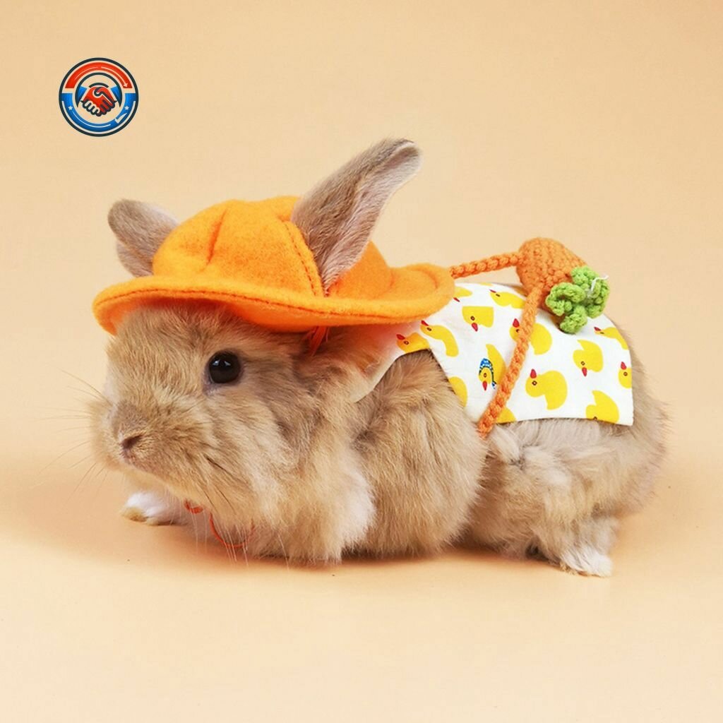 Платье-шлейка для кролика с принтом утки, регулируемое, хлопковое, с поводком и шляпой, комплект одежды для малых животных, прогулочный костюм