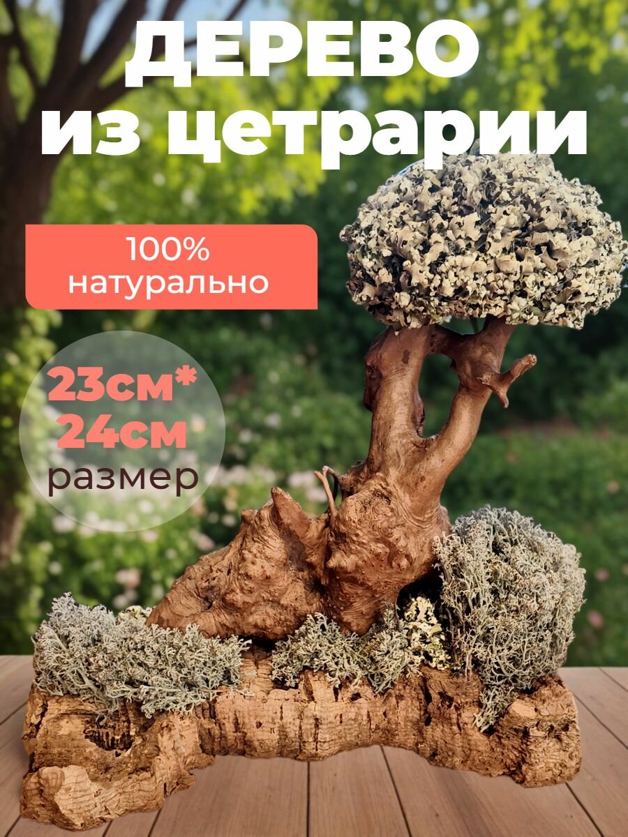 Интерьерное украшение