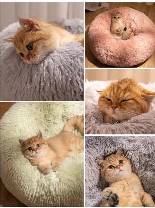 Палатка для животных — фото 1