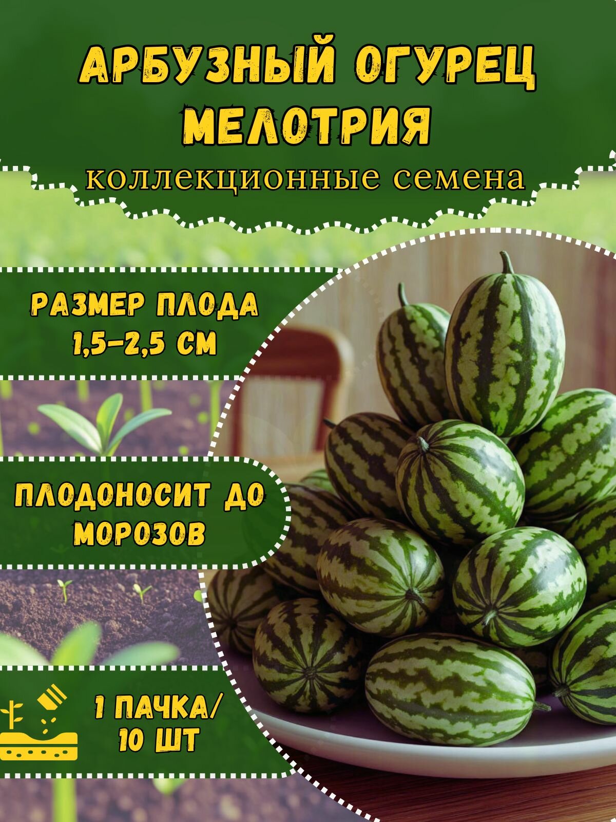 Семена Арбузного огурца "Мелотрия", 10 семян