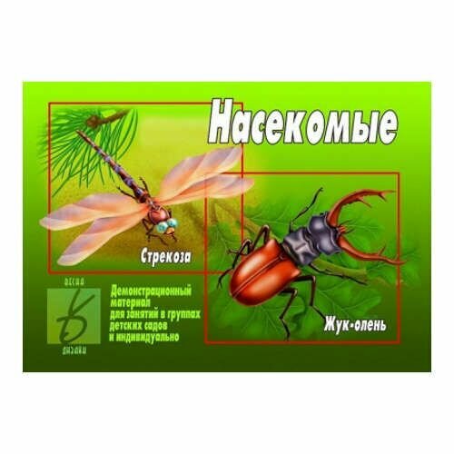 Демонстрационный материал "Насекомые"