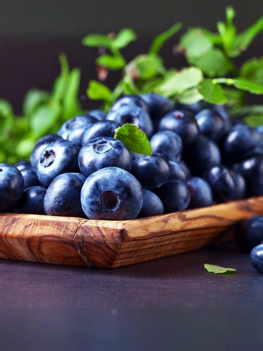 Черника Лесная, Семена, 30 шт, семена ягод, семена лесных ягод