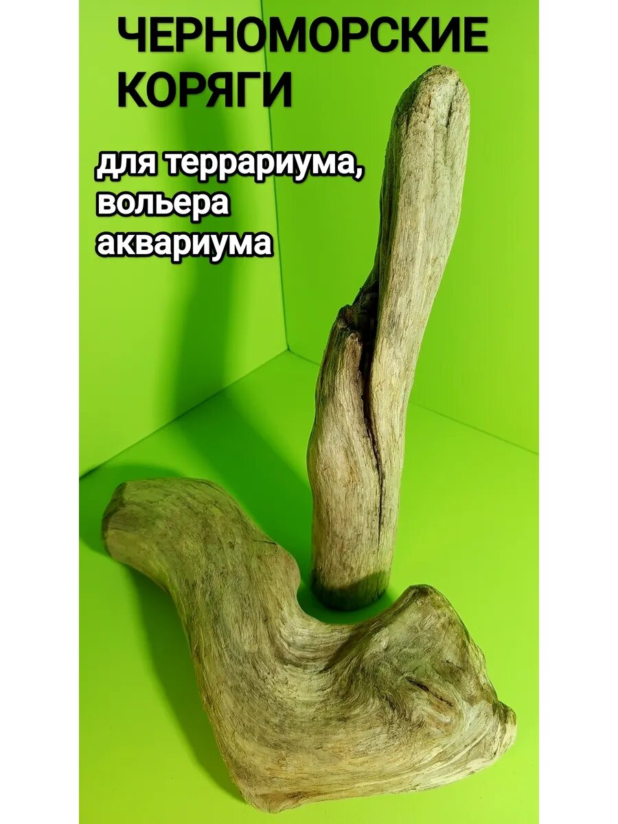 Коряги Черноморские волны для террариума, аквариума, вольер