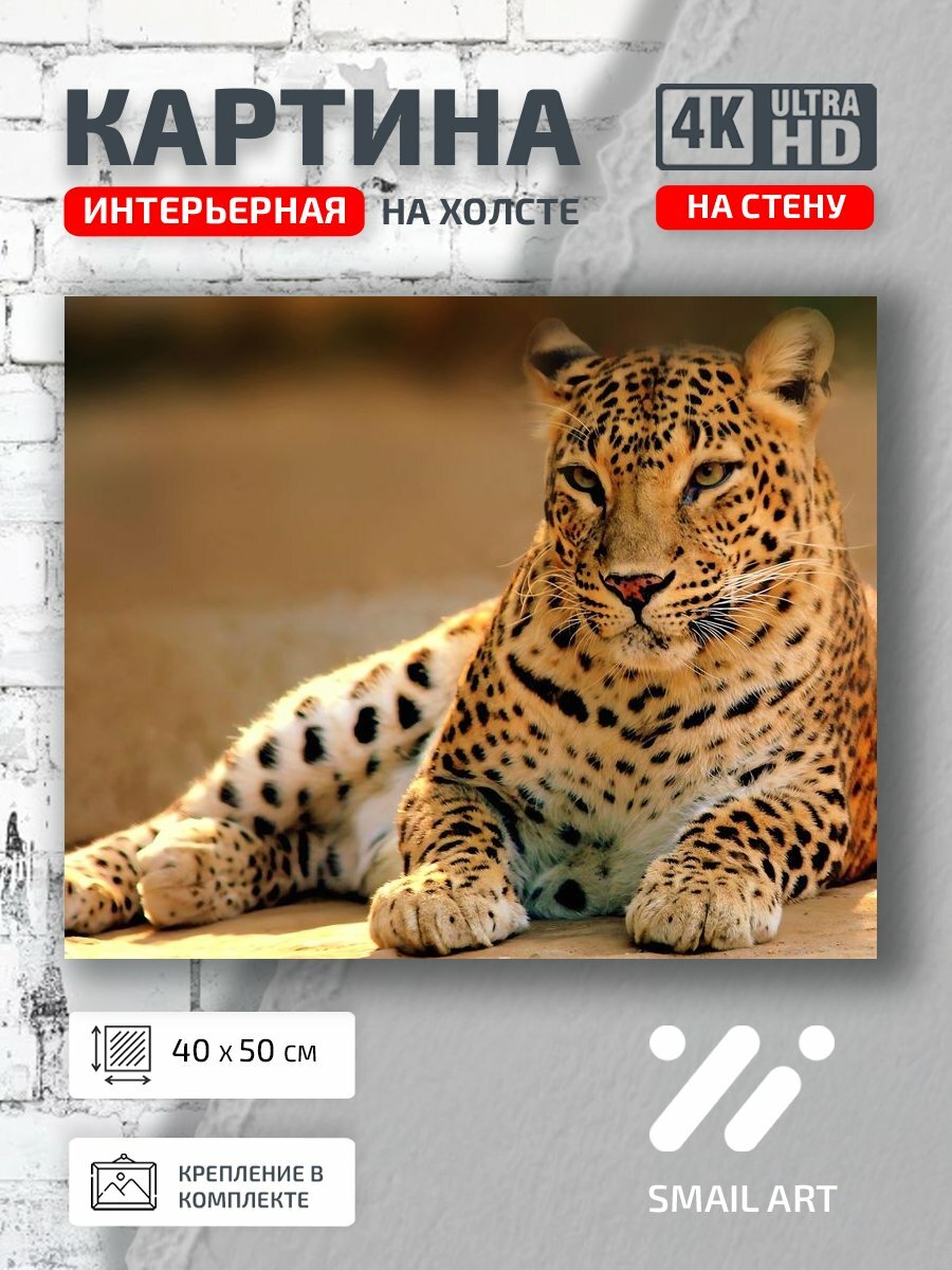 Картина на холсте интерьерная 40 на 50 на стену Взгляд Mood для гостиной атмосфера интерьер
