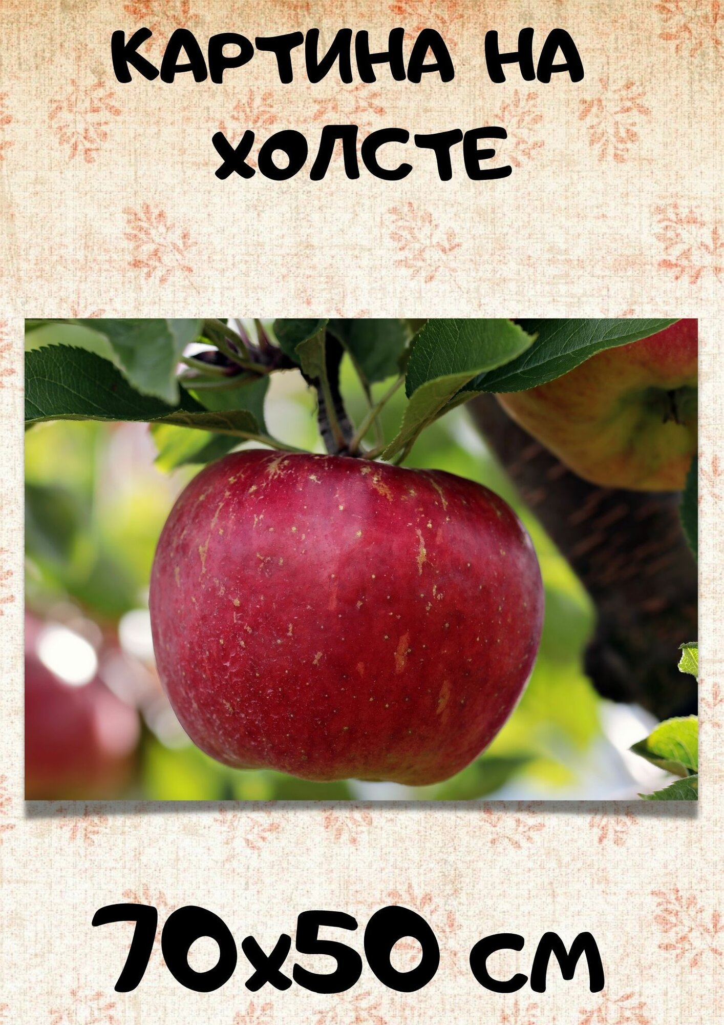 Картина с сочными яблоками для интерьера кухни / Фотокартина яблоко