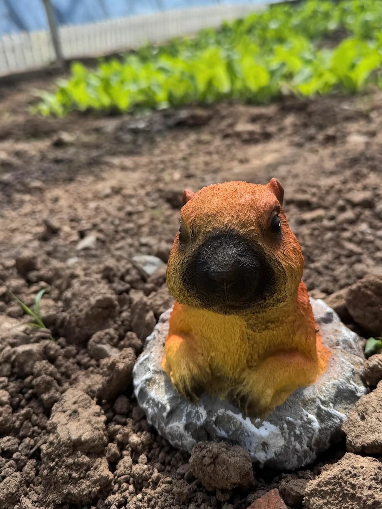 Фигурка садовая — фото 1