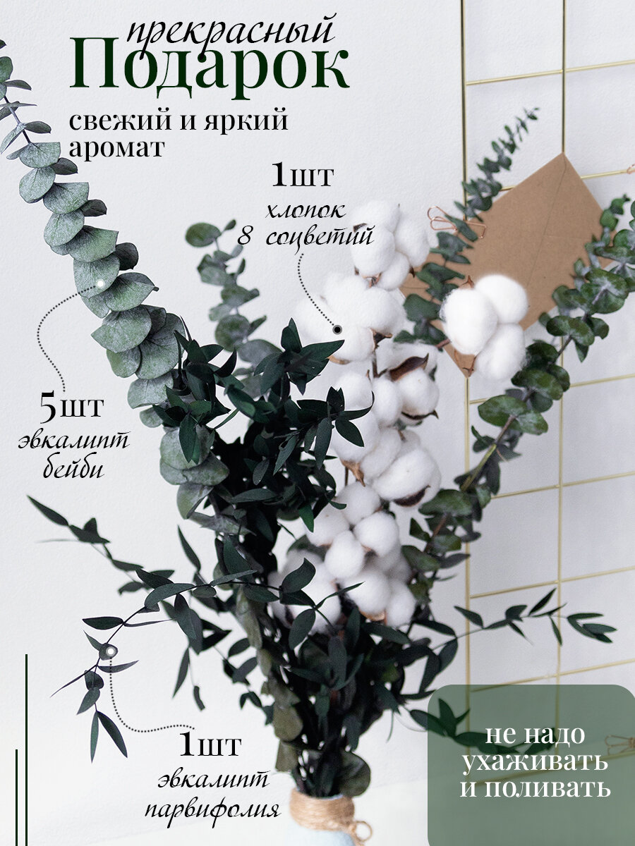 Букет Stabflora "Хлопок, Эвкалипт", стабилизированный, белый, зеленый