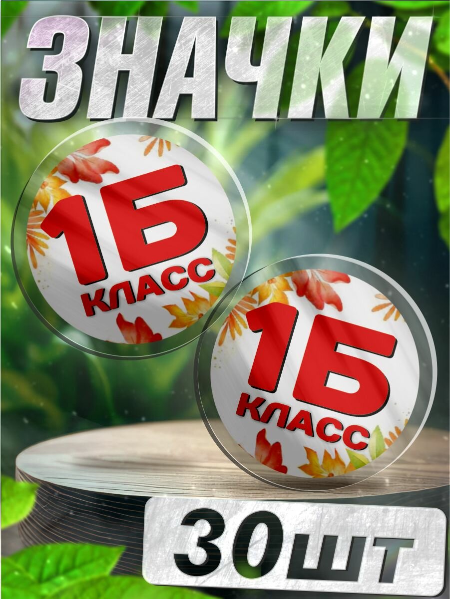 Значки на рюкзак для школьника 1 б класс